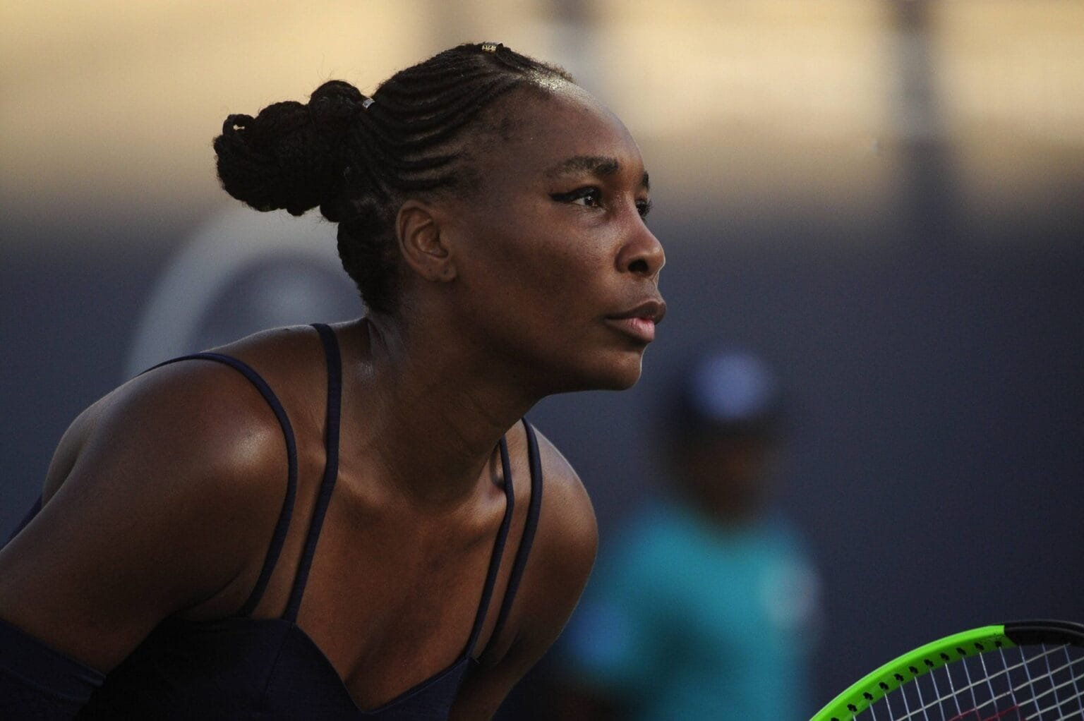 Venus Williams Net Worth, Early Life, Biography, Family, Personal Life ...